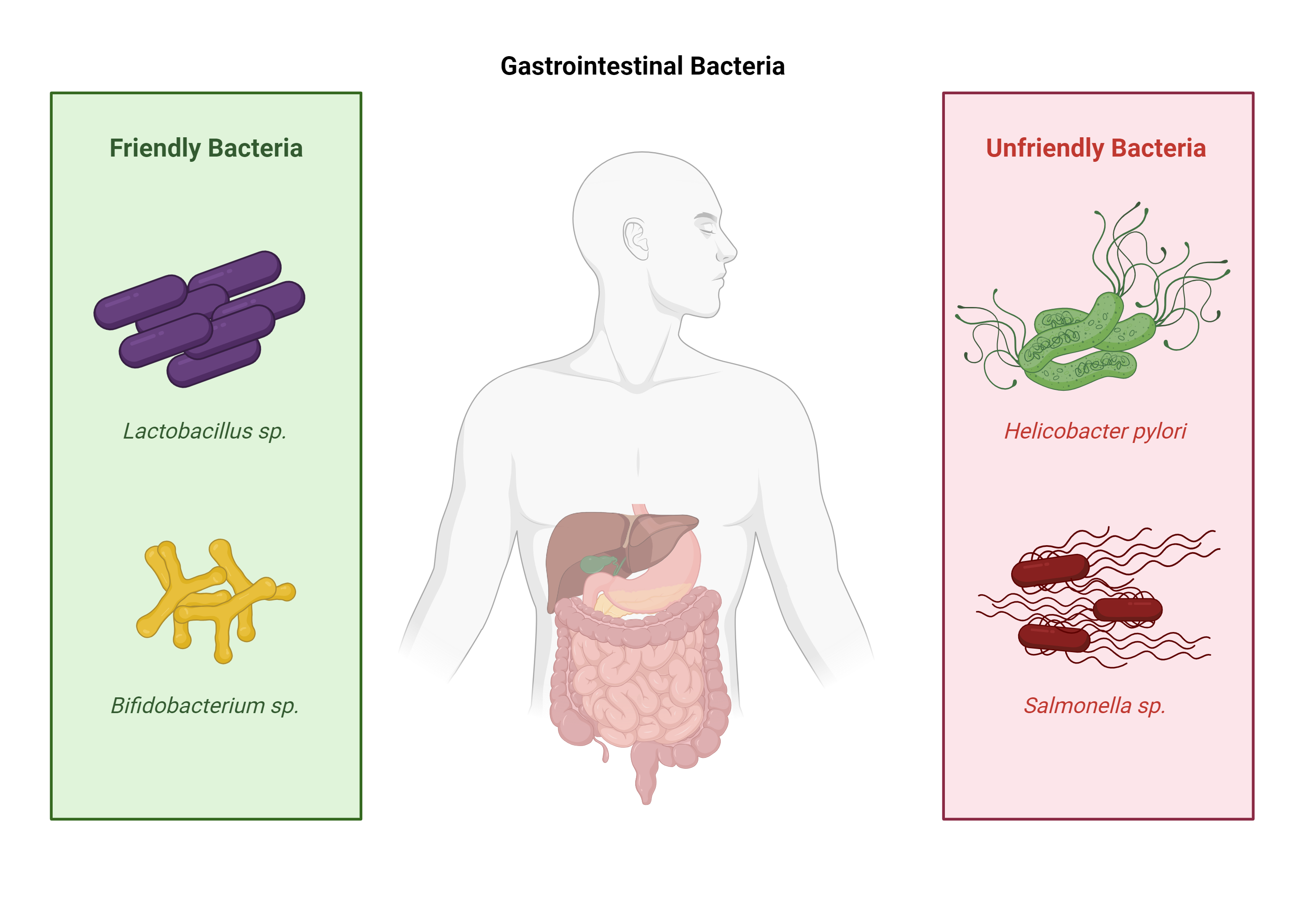 Has Salmonella got you down? Try some yogurt! | The Aggie Transcript